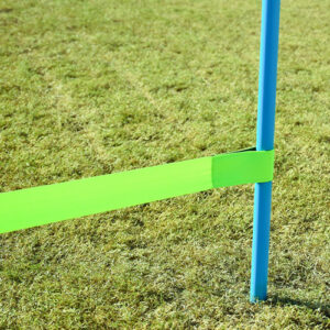 Buy Training Agility Poles | Alpha Elite Gear